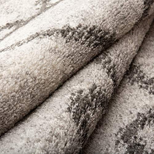 SUPERIOR Aneela Indoor Area Rug