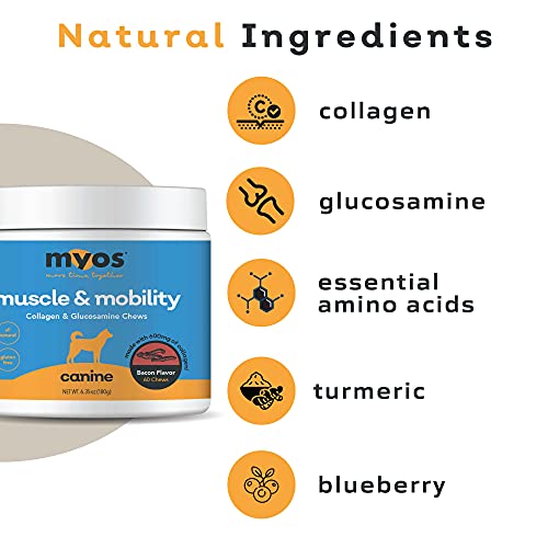 MYOS Canine Muscle & Mobility Chews β Natural Collagen & Glucosamine for Dogs - Bacon Flavor Joint Supplement for Muscle, Bone & Joint Support, 60 Count