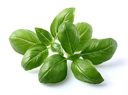 Click and Grow Smart Garden Basil Plant Pods, 3-Pack