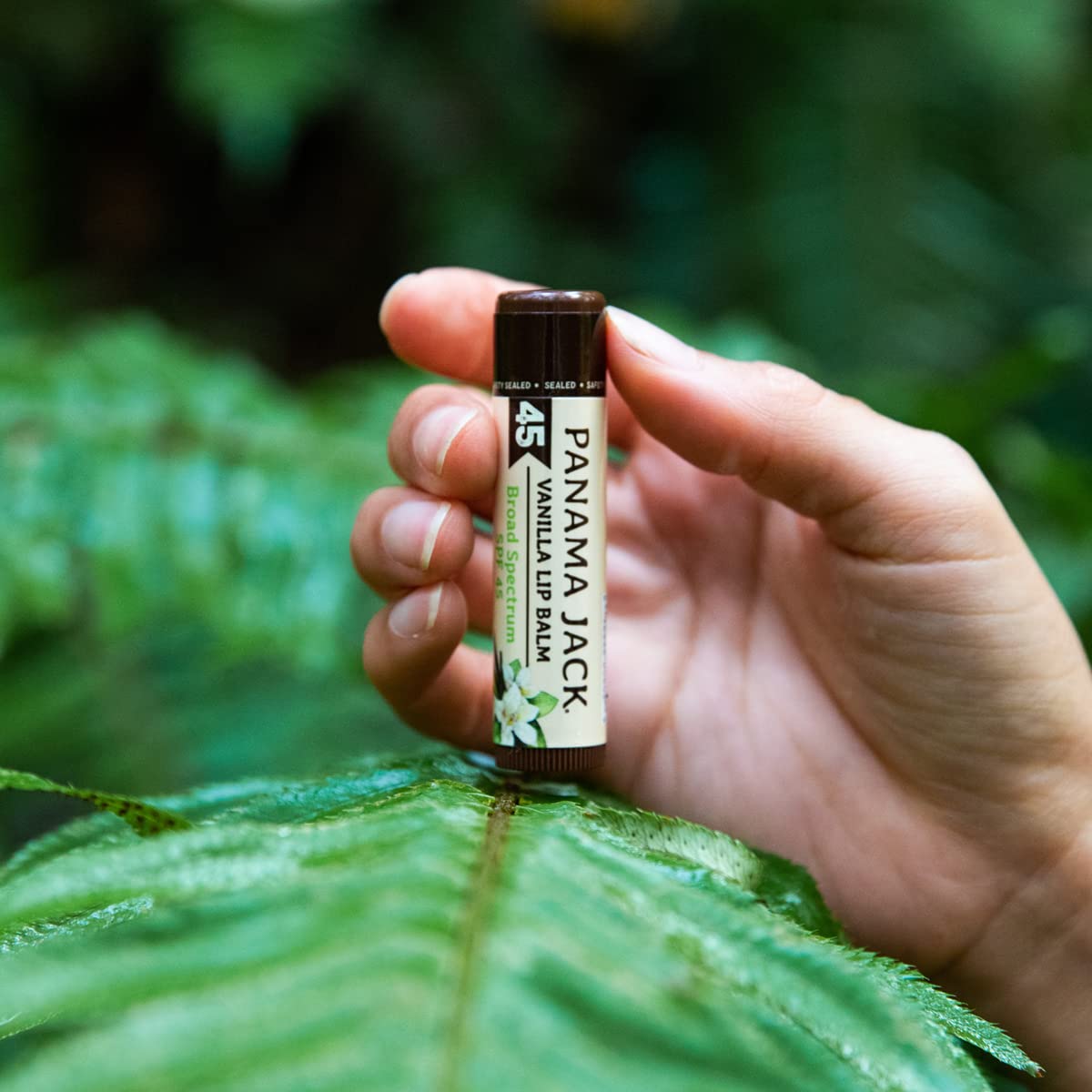 Panama Jack Sunscreen Lip Balm - SPF 45, Flavor Pack, Broad Spectrum UVA-UVB Sunscreen Protection, Prevents & Soothes Dry, Chapped Lips (Dreamsicle/Vanilla)