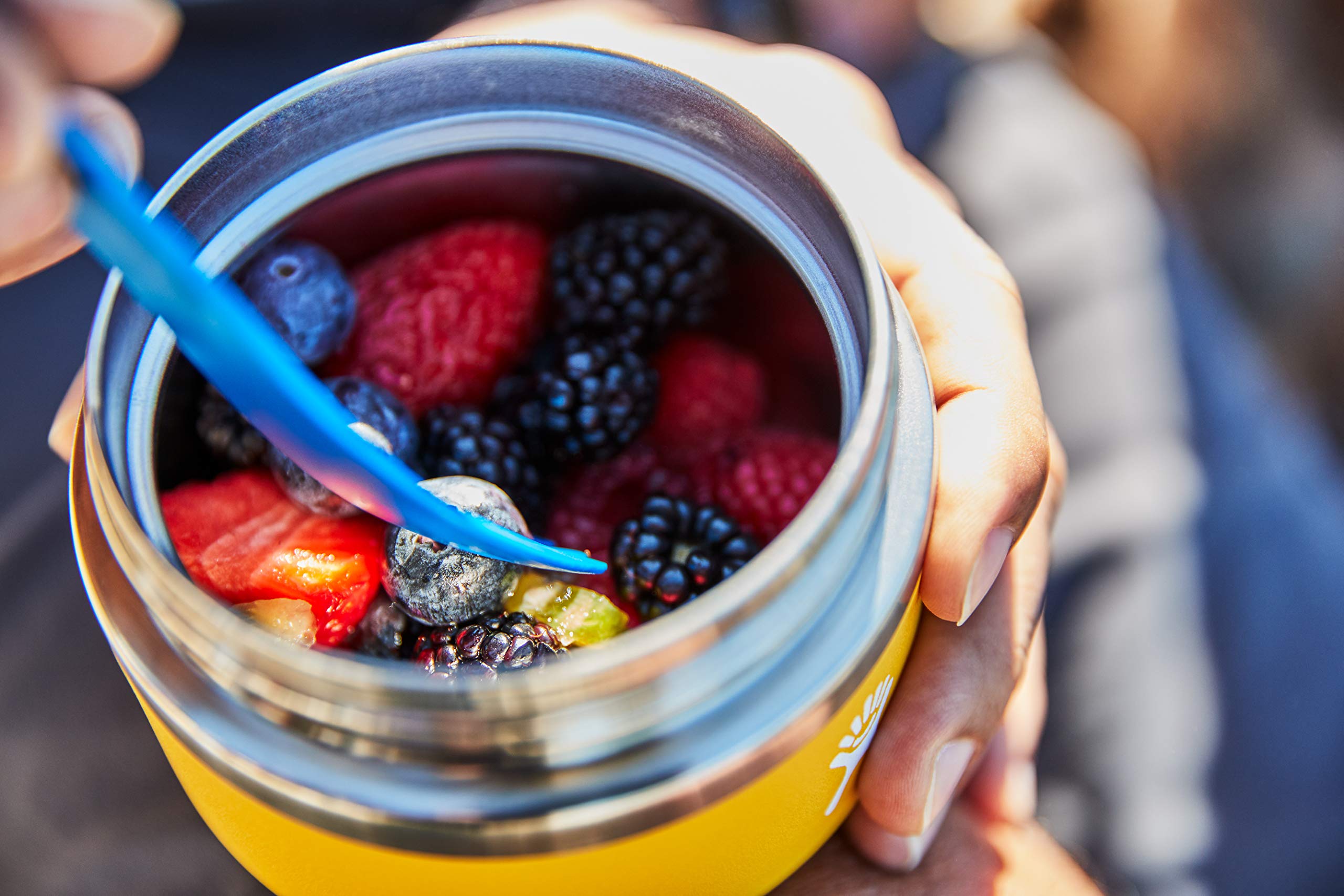 28 OZ INSULATED FOOD JAR BIRCH