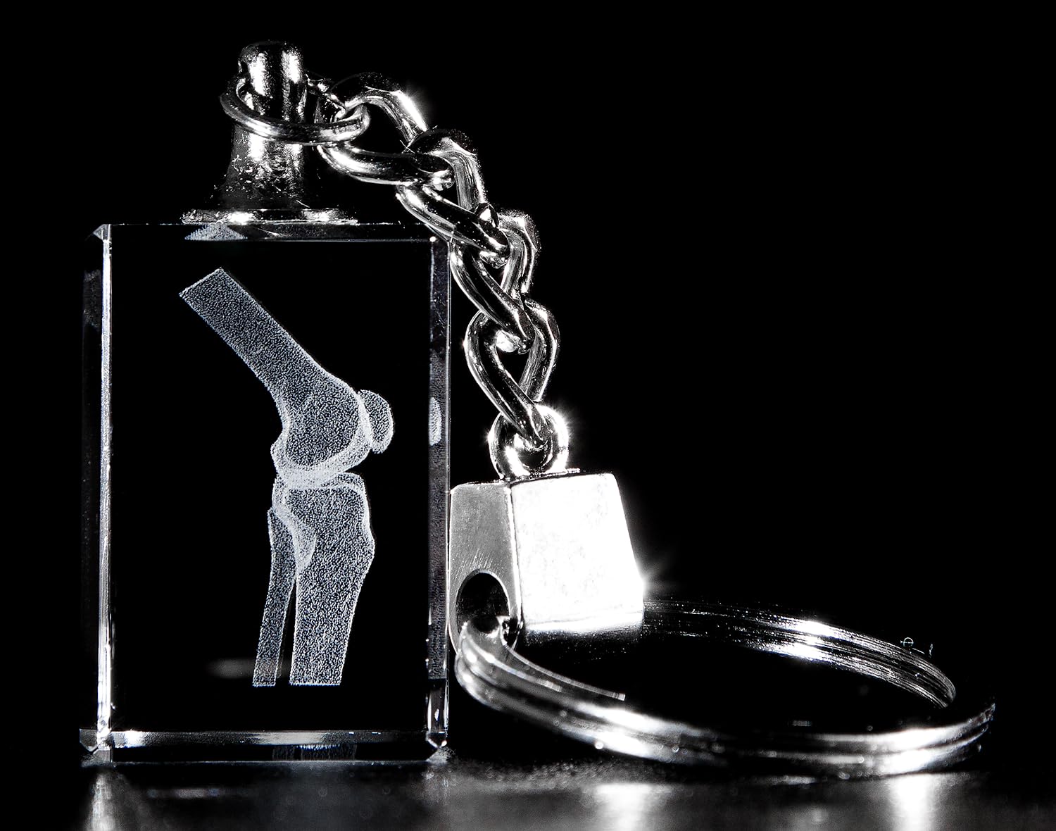 Blue Tree Publishing Knee Joint 3d Laser Key Chain Crystal, Anatomy, Bone, Physical Therapy Sports