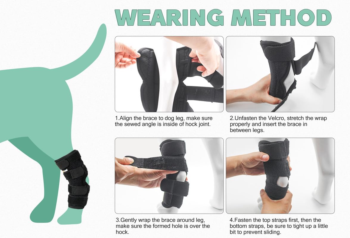 Lyderpet Dog Leg Brace for Rear Hock & Ankle, Canine Hind Leg Joint Compression Wrap for Torn ACL & CCL, Back Leg Injury and Sprain Protection, Helps with Elderly Dogs Activies and Arthritis (L)