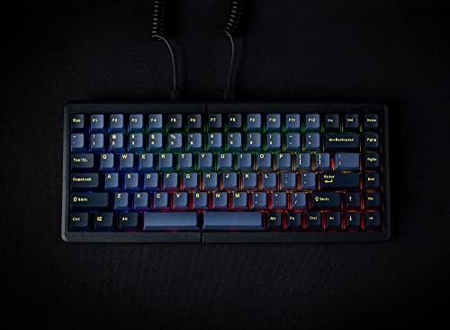 Mistel BAROCCO MD770 RGB Wired + Wireless Bluetooth TKL Split Mechanical Keyboard with Cherry MX Black Switch, Ergonomic Gaming Keyboard, Yellow Letter Glaze Blue PBT DoubleShot Keycaps, Macro Support
