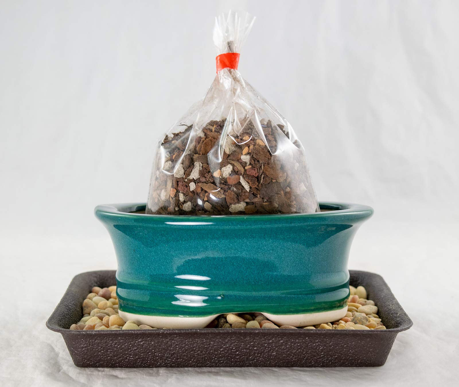 5.75" Oval Teal Green Bonsai/Succulent Pot + Soil + Tray + Rock + Mesh Kit