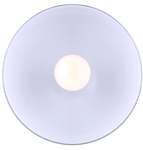 CANARM IPL222B01BN Polo 1 Light 9" Rod Pendant, Brushed Nickel with Painted White Interior, Silver