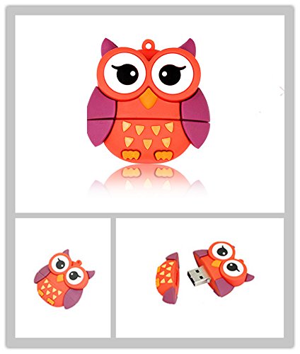 QICAIHU Novelty Big Eyes Owl Shape Design 64GB USB 3.0 Animal Flash Drive Cute Memory Stick Thumb Drive Data Storage Pendrive Cartoon Jump Drive Gift