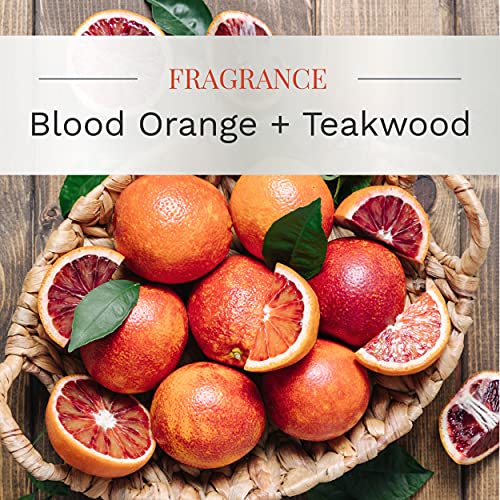 Essential Elements by Candle-lite Scented Candles, Blood Orange & Teakwood Fragrance, One 14.75 oz. Three-Wick Aromatherapy Candle with 45 Hours of Burn Time, Off-White Color