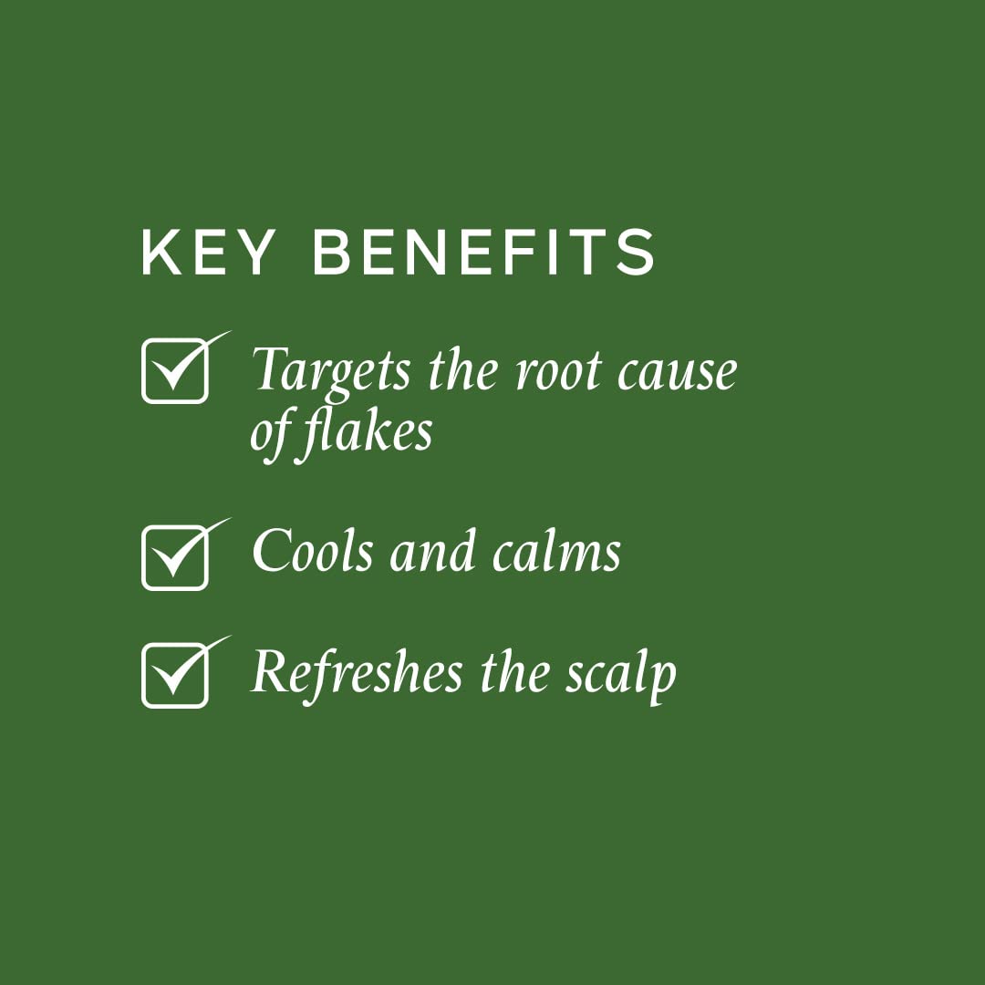 PHILIP KINGSLEY Soothing Dry Shampoo for Oily Scalps - Cleansing Care, Refreshes, Soothes, and Cools Hair, 6.76 oz.