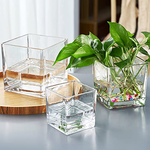 4PCS Square Glass Vase 4"x4" Clear Cube Flower Vase for Wedding Centerpiece Candle Holder Home