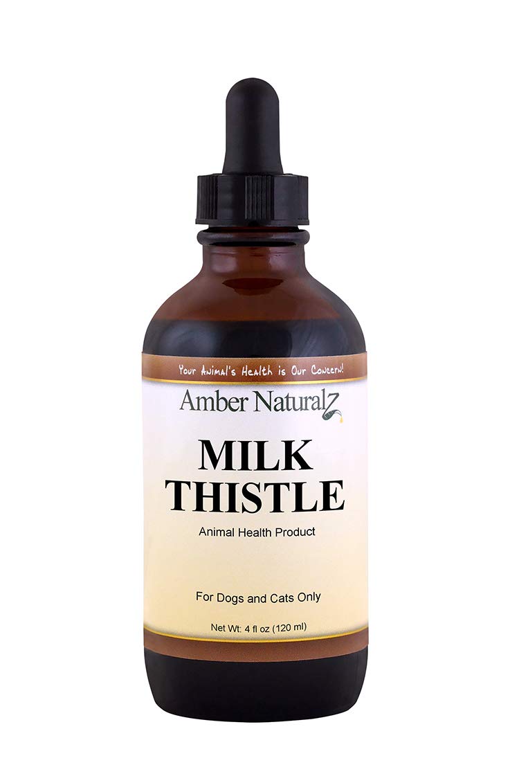 Amber NaturalZ Milk Thistle Herbal Supplement for Dogs and Cats | Milk Thistle Herbal Supplement for Liver Health and Support | 4 Fluid Ounce Glass Bottle | Manufactured in The USA