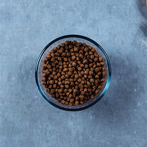 Evolve Classic Deboned Salmon, Rice and Sweet Potato Recipe Cat Food, 2.75lb