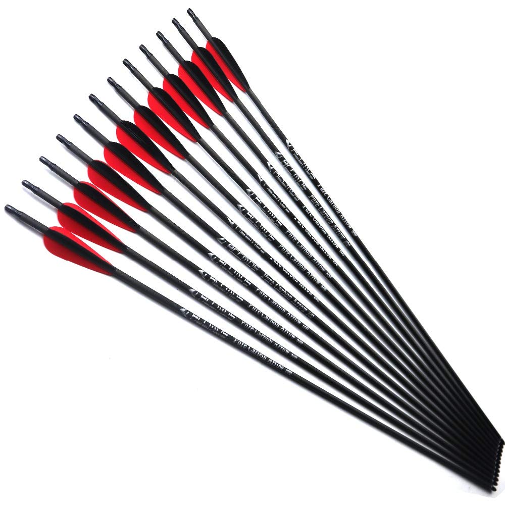 31" Arrows 800 Spine Arrows for Compound Bows ID 6.2 mm 28.5/29/30 Inch Replaceable Tip Carbon Arrow for 10/15/20/25/30/35/40 Lbs Recurve Bow Longbow Archery Hunting Target Practice