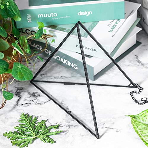 NCYP Side Length 8 Inches, Black Hanging Brass Glass Frame for Pressed Dried Flowers, Picture Photos Double Glass, Floating Frame Style Triangle Herbarium (Glass Frame Only)