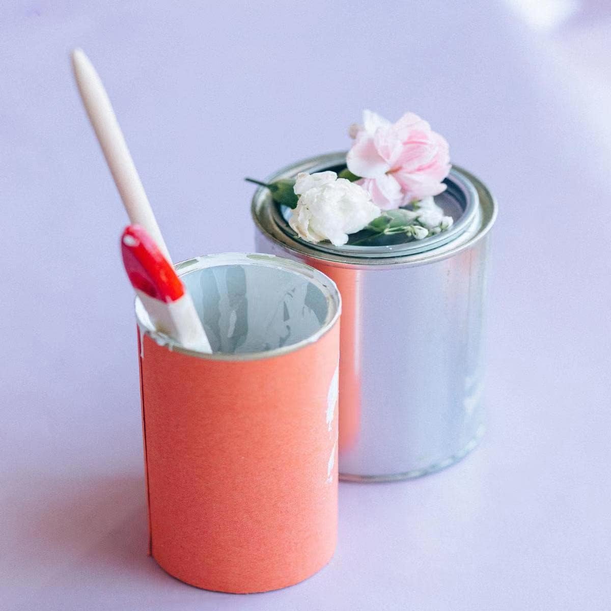 Esamploe 8 Pack Empty Metal Paint Cans with Lids(1/4 Pint Size),1/2 Cup Capacity Touch Up Paint Containers,Paint Storage Containers for Leftover Paint,Tiny Empty Unlined Pint Paint Pails