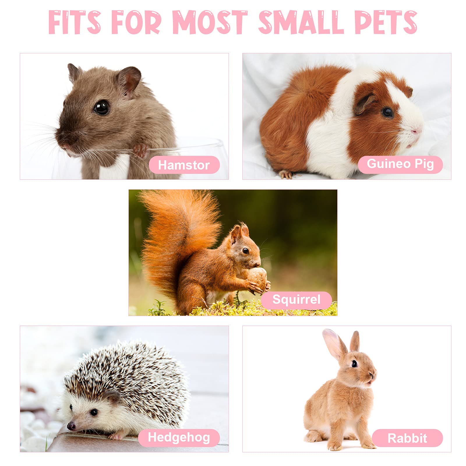 3 Pieces Small Pet Cage Hammock Set Include Double-Layer Sugar Glider Swinging Bed Hanging Rat House Cage and Hamster Warm Bed Mat for Rat Parrot Ferret Squirrel Hamster Rat Playing Sleeping (Pink)