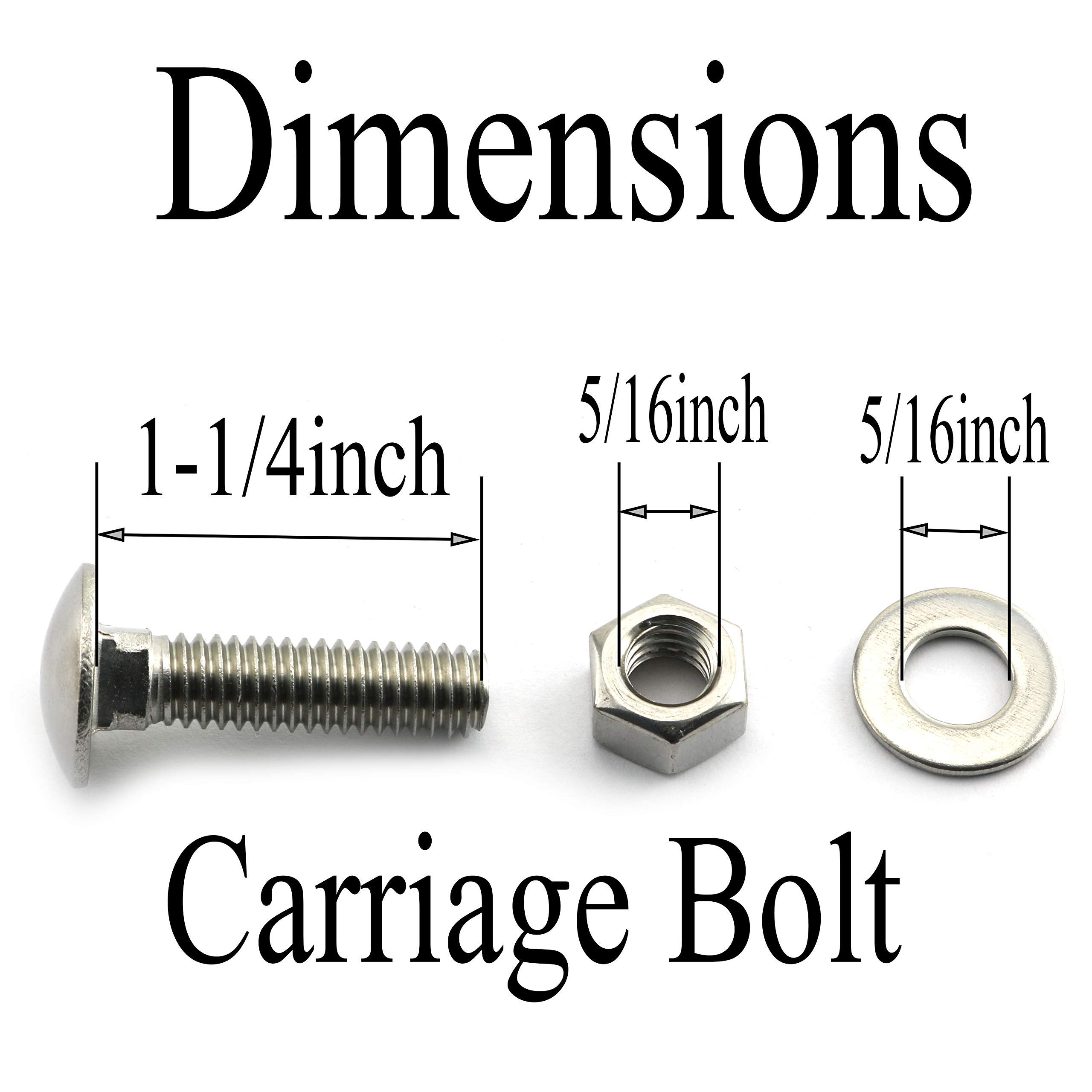Pro Bamboo Kitchen 10 Sets 304 Stainless Steel Carriage Bolt 5/16"-18x1-1/4" with 5/16"-18 Hex Nut and Washer 5/16"