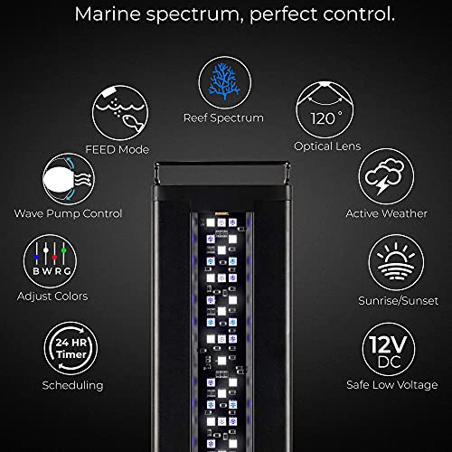 Current USA Orbit Marine LED Light, 24"-36" | With LOOP IR Controller for Wireless Lighting & Wave Pump Control (4101)