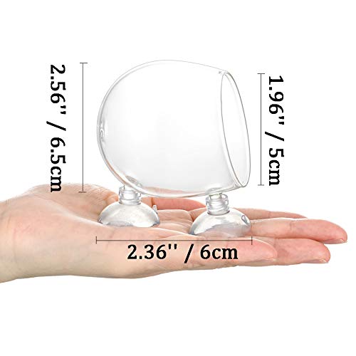 Suction Cup Planter, 4Pcs Magnetic Suction Cup Window Aquarium, Glass Vase Plant Pots Decorations Fish Tank for Aquascape Aquarium
