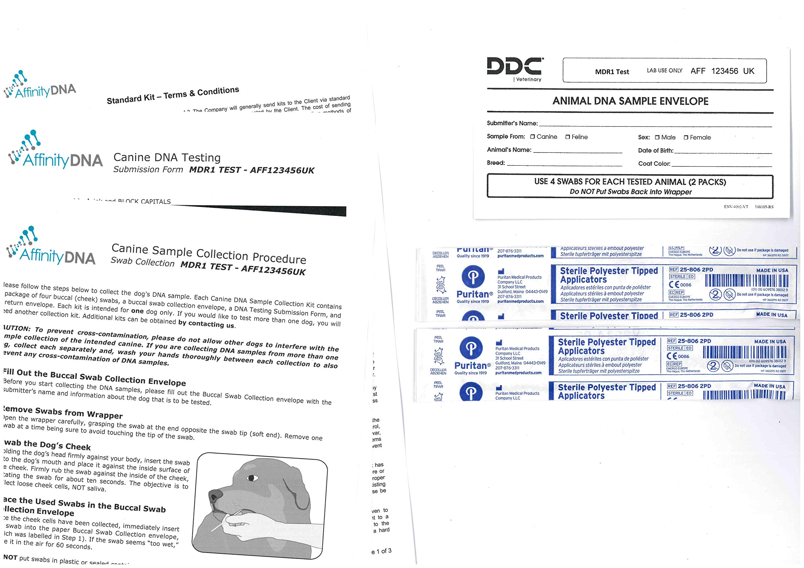 AffinityDNA Dog Multidrug Resistance 1 (MDR1) DNA Test Kit | Home Sample Collection Kit for 1 Canine | Puppy MDR1 Testing Kits | Results in 7 Working Days | A Complete Kit with No Extra Fees