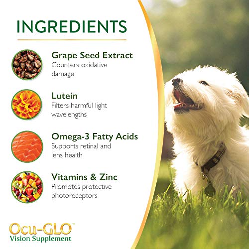 Ocu-GLO Cat & Dog Senior Supplement for Eye Support - Soft Chews Vision Vitamins Supplements for Large and Small Pets Care with Lutein, Omega-3 Fatty Acids, Grape Seed Extract & Antioxidants