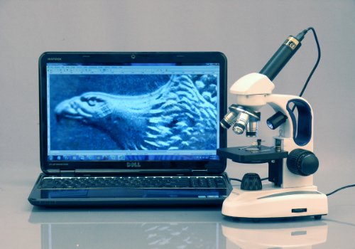 AmScope M158C-2L-PS25 Cordless Compound Monocular Microscope, WF10x and WF25x Eyepieces, 40x-1000x Magnification, Upper and Lower LED Illumination with Rheostat, Brightfield, Single-Lens Condenser, Coaxial Coarse and Fine Focus, Plain Stage, 110V or Batte