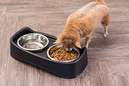 IRIS USA Large Elevated Pet Feeder with Attachable Legs and 2 Stainless Steel Bowls, For Small to Large Dogs Cats with 2 Quart Bowls and 12"H Legs Raised Pet Feeding Station, Black