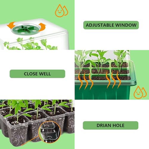 6-Pack Seed Starter Trays with 10"x20.75" Seedling Heat Mat for Indoor Home Gardening Seed Starting, 72-Cell Seed Starter Kit with Humidity Dome(12 Cells per Tray), MET Certified