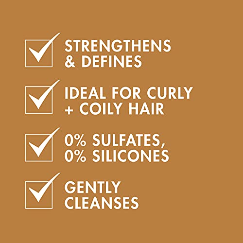 Nexxus Curl DefineCurl Define Shampoo Sulfate free For Curly & Coily Hair with ProteinFusion Curl Enhancer & Strengthening Shampoo 13.5 oz