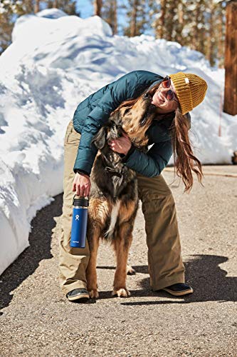 Hydro Flask Wide Mouth Flex Sip Lid Bottle - Stainless Steel Reusable Water Bottle - Vacuum Insulated, Dishwasher Safe, BPA-Free, Non-Toxic