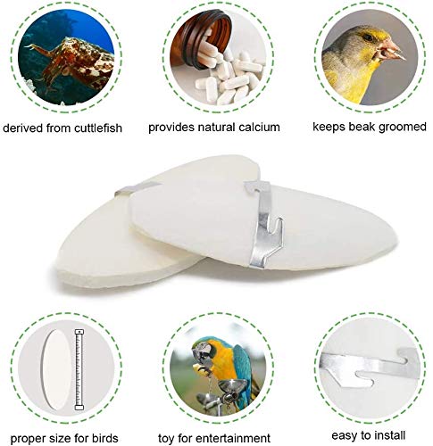 Jmxu's 5"-5.5" Bird Cuttlebone for Parakeets, Cuddle Bone with Metal Holder, Chewing Cuttlefish Bone for Sharp Beaks, Natural Birds Calcium Suitable for Parrots Cockatiels Budgie(6 Pack)