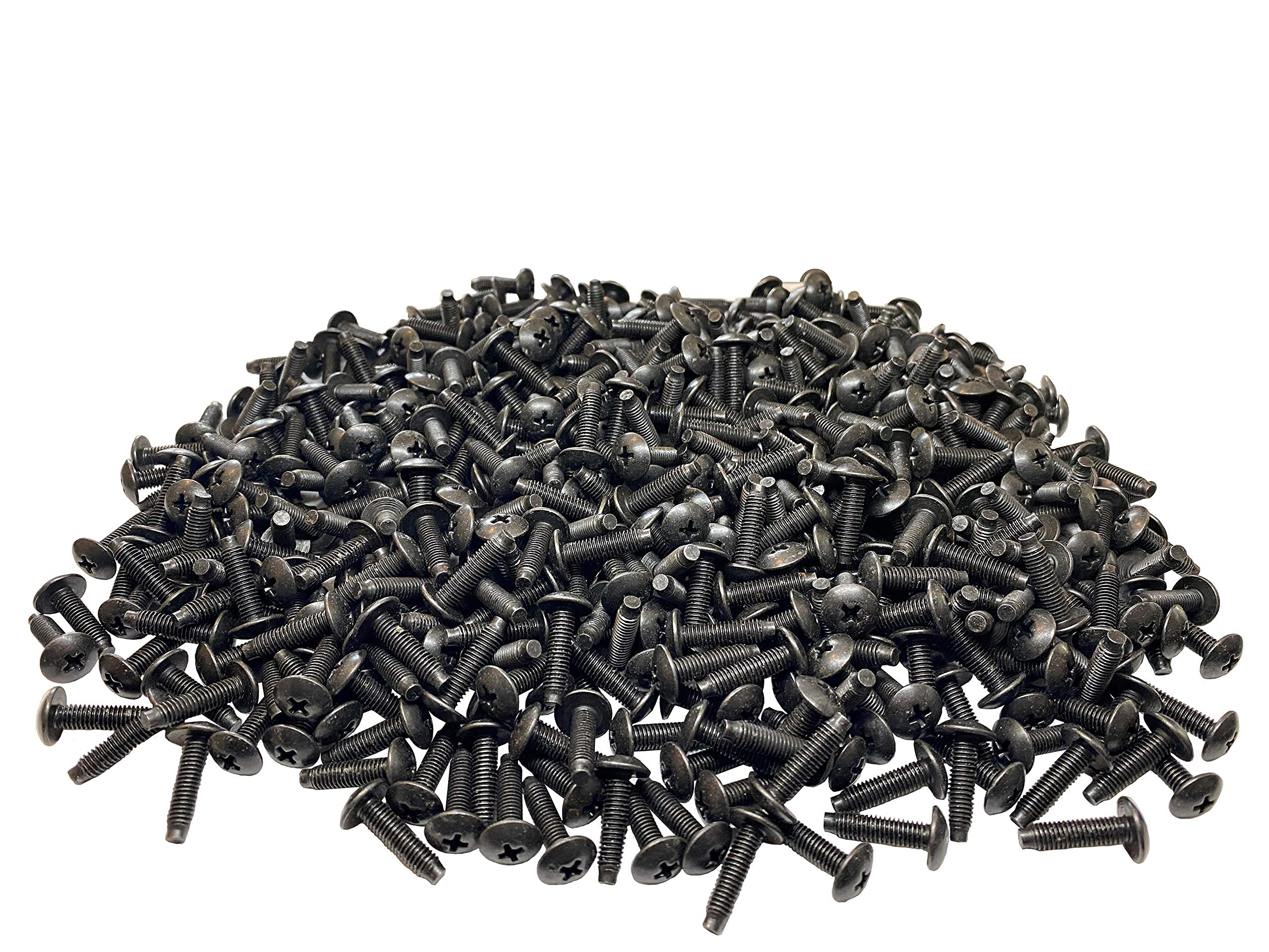 RackGold® 10-32 Pilot Point Rack Mount Screws 500 Pack Jar- USA Made