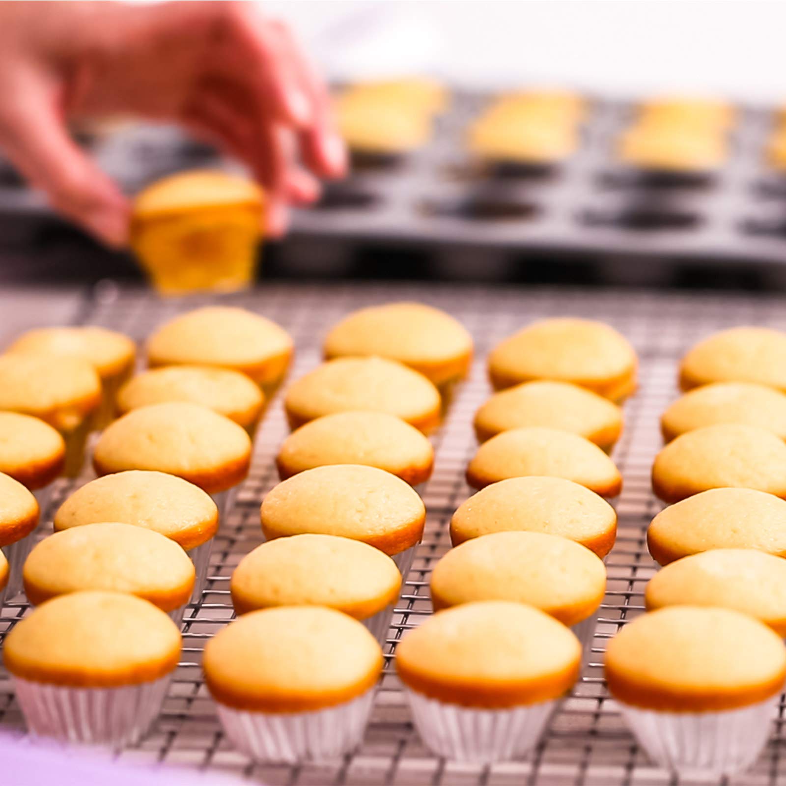 3 Pieces 24 Cups Mini Muffin Pans Carbon Steel Cupcake Tin Trays Kitchen Cupcake Pans Nonstick Baking Pans for Baking Brownie, Cake, Dessert
