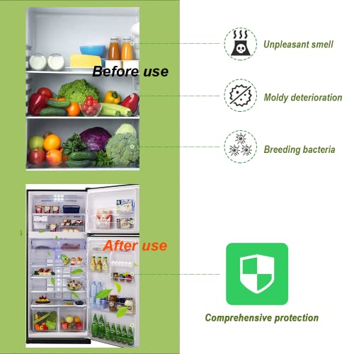 2Packs Refrigerator Deodorizer(60g Each Pack)， Fonday Odor Eliminator for Fridges Freezers Coolers & Lunch Boxes, Bamboo Charcoal Fridge Deodorizer, More Effective Than Baking Soda