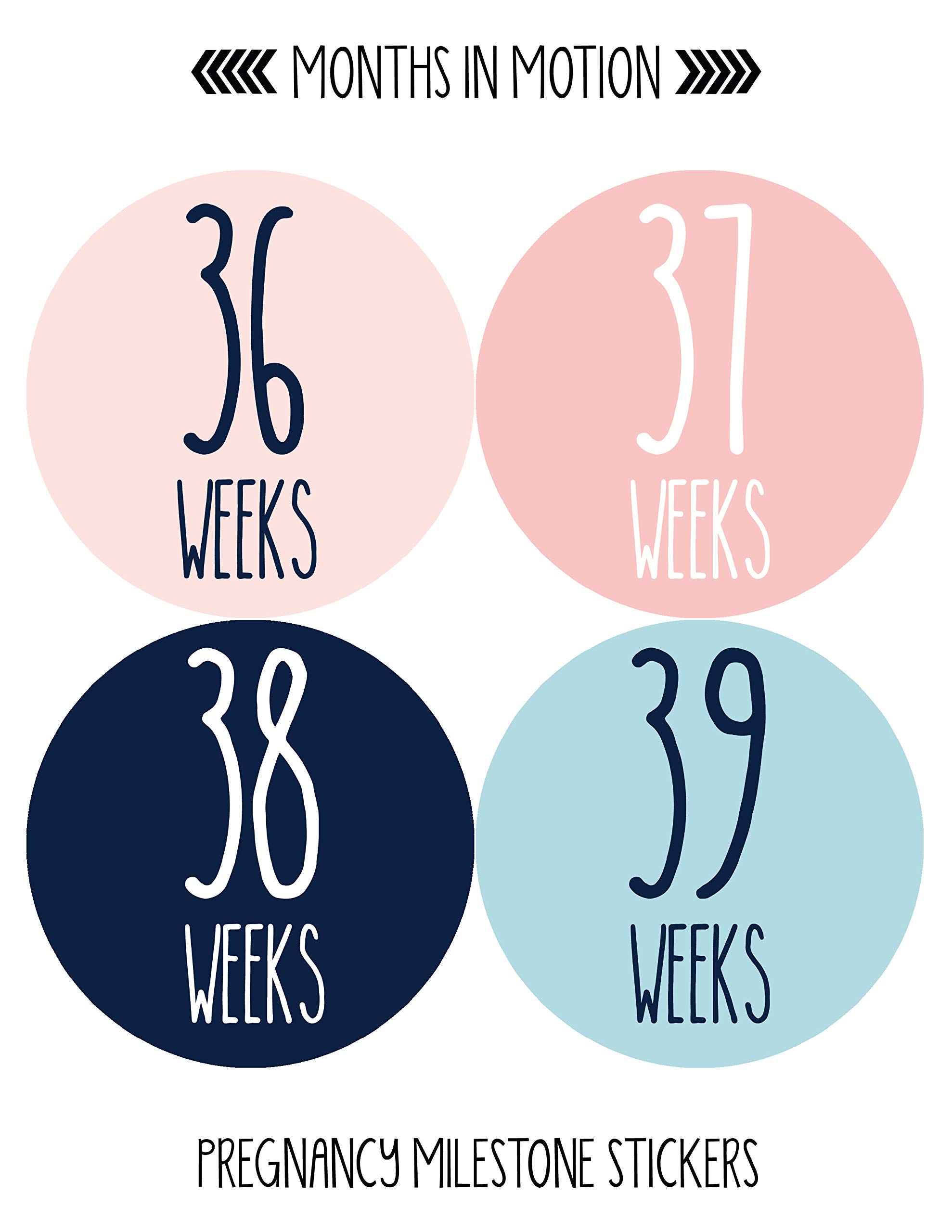 Months In Motion Weekly Pregnancy Growth Stickers | Week to Week Pregnant Expecting Photo Prop | Maternity Keepsake | Baby Bump | Weekly Stickers (Set of 36 Stickers)