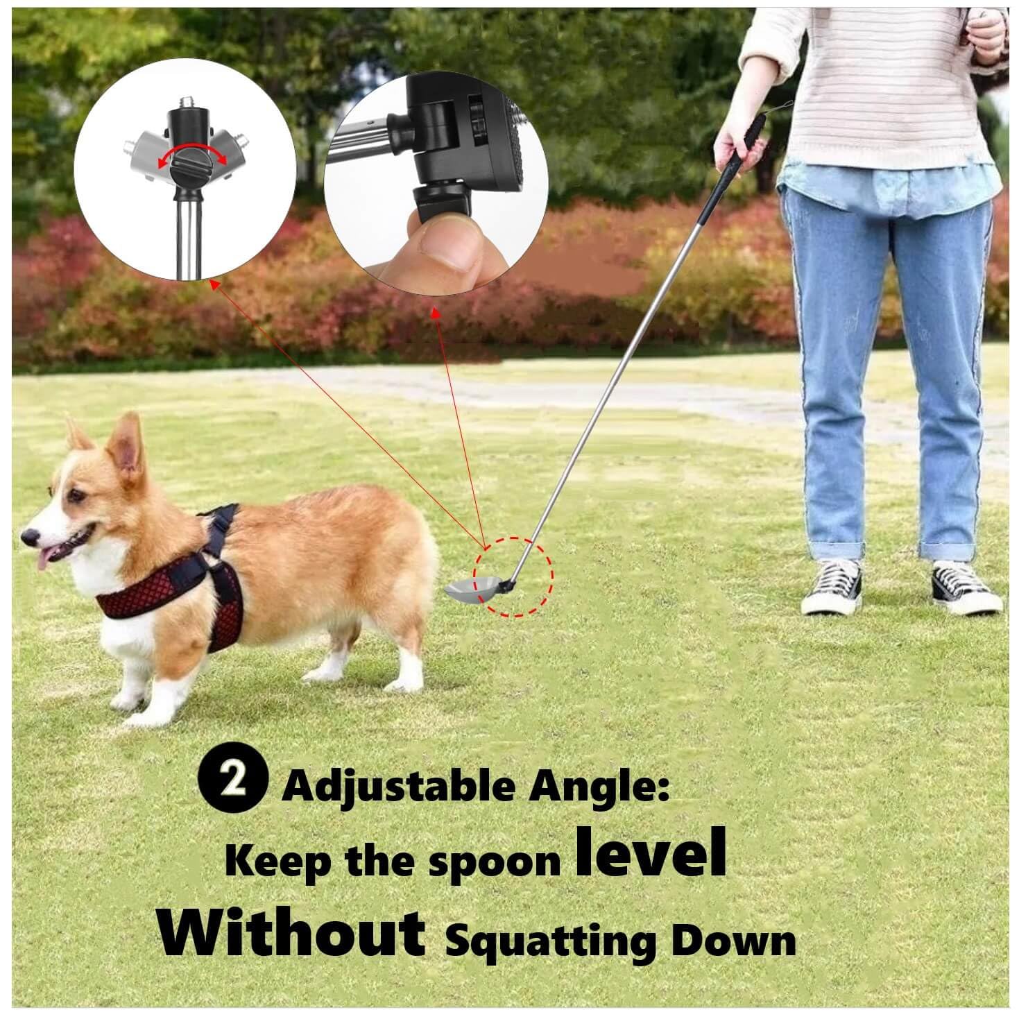 iNenya Dog Urine Sample Catcher,Telescopic Dog Pee Sample Collector,Pet Urine Stick for Small Large Female Dogs (Grayspoon&4bottles)
