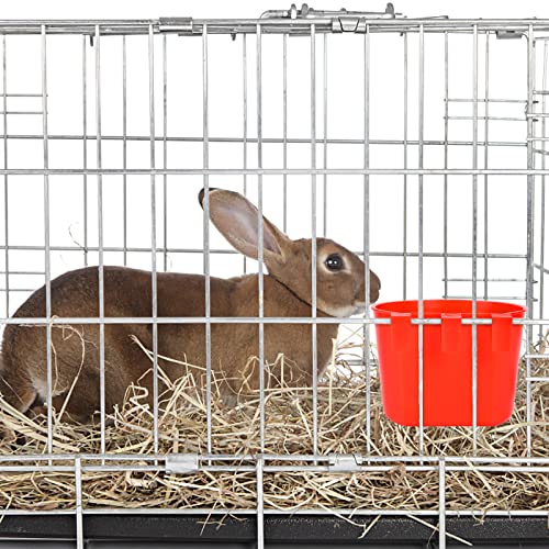 50 Pieces Cage Cups Plastic Hanging Bird Feeding Cups Universal Cage Cups Birds Feeders Seed Bowl Chicken Feeding Watering Dish with Hooks for Pet Pigeon Parrot Parakeet Poultry (Red)