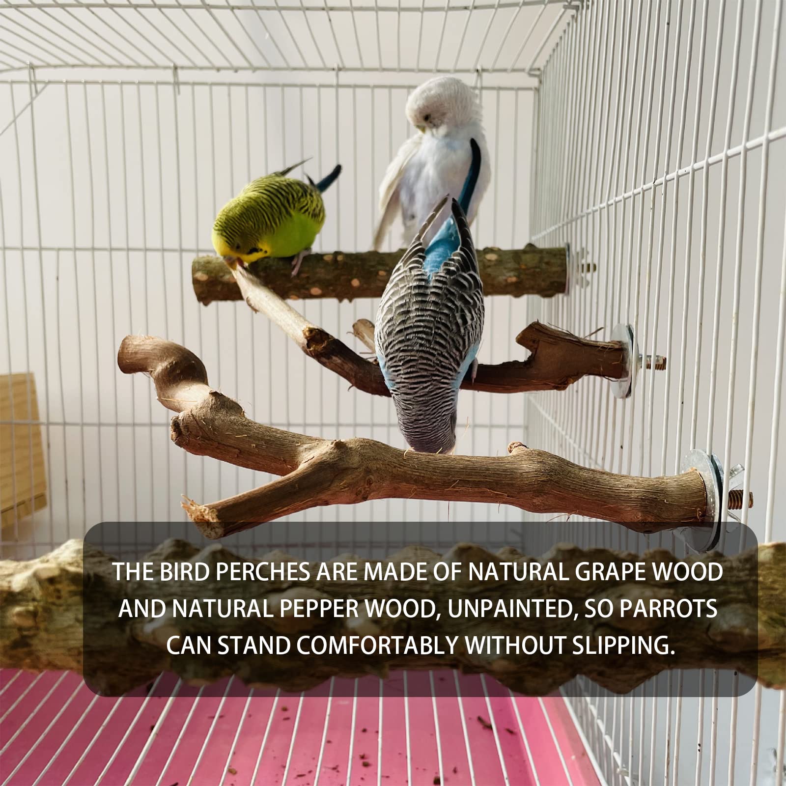 5PCS Bird Perch Stand Natural Wooden Parrot Stand Branch, 3 Grape Wood Perch, 2 Stand, Paw Grinding Fork Parakeet Chewing Stick Exercise Training Branches for Cockatiels, Small Birds