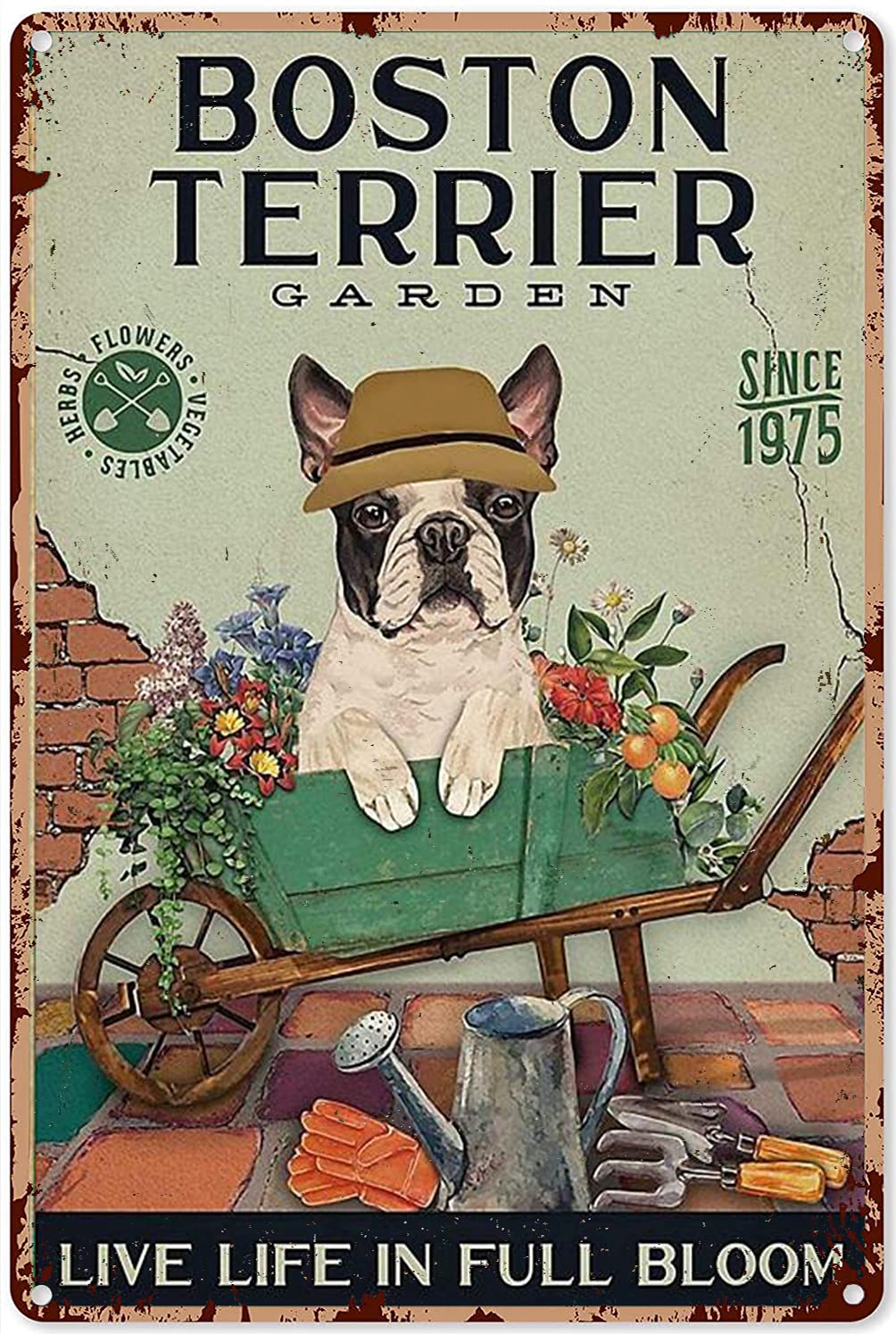 Eeypy Garden Wall Art Outdoor Boston Terrier Garden Live Life In Full Bloom Tin Sign Decoration Vintage Chic Metal Poster Wall Decor Art Gift for Home Outside Farm Garden Garage Outdoor 16x12 inch