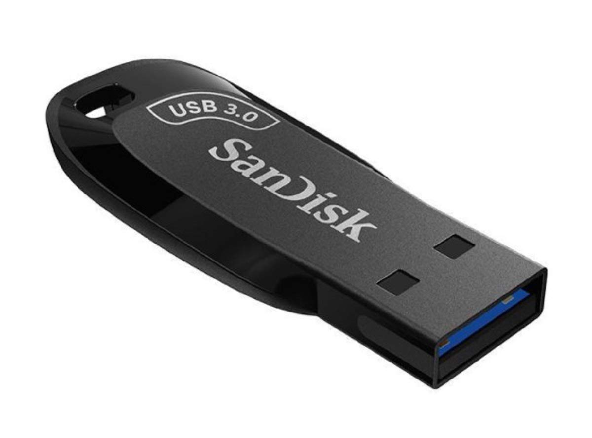 SanDisk Ultra Shift USB 3.0 Flash Drive 256GB for Computers & Laptops - High Speed (SDCZ410-256G-G46) Bundle with (1) Everything But Stromboli Lanyard
