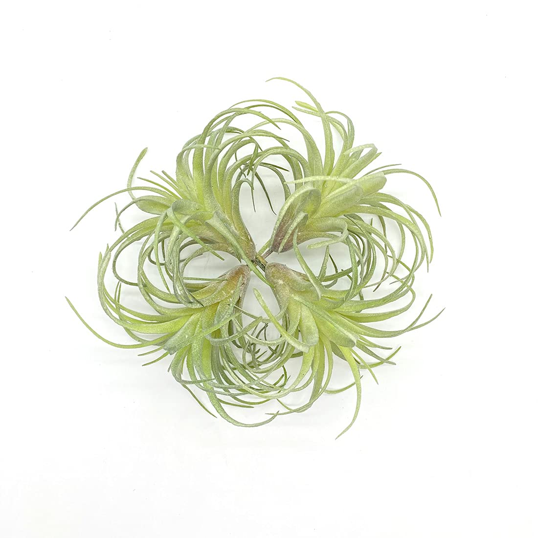 ZKTECH 4 Pack Artificial Succulent Plants Flocked Air Plants Grass Faux Flocking Tillandsia Air Plants Bromeliads for Home Garden Decor Terrarium Project Fake Artificial Plants Arrangement