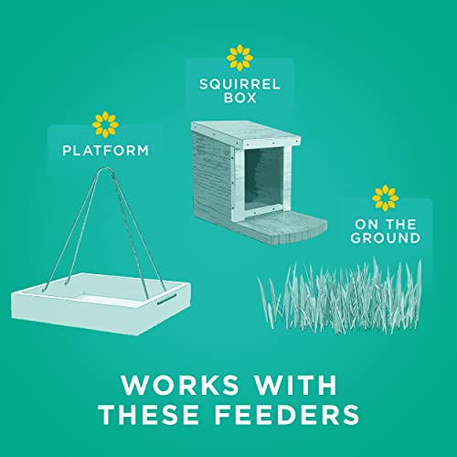 Audubon Park Critter Crunch Backyard Wildlife Food, Bird and Squirrel Food for Outside Feeder, 5-Pound Bag