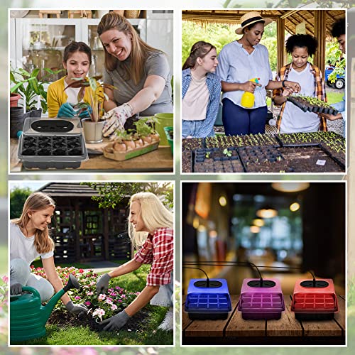 60 cell Reusable Seed Starter Tray with Grow Light, 5 Pack Seed Starter Kit with Adjustable Red, Purple, and Blue Light Brightness, Humidity,Timing for Indoor all plants fruit and vegetable seedlings