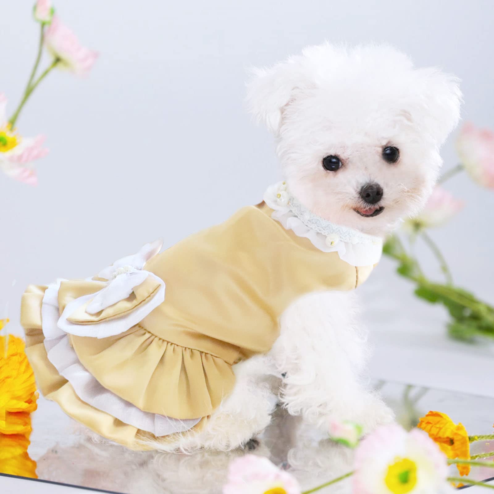 Albrost Dog Dress Harness Vest with Matching Leash, Golden Bow-Knot Puppy Dresses D Ring, Cute Leash Set, Princess Multi-Layer Pleated Skirt Pet for Small Cat (Medium), Golden,Gold,White