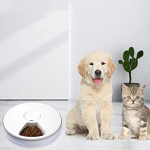 ZH1 Cat and Dog Food Dispenser, Automatic Pet Feeder with 6-Segment Dial with LCD Display, Voice Reminder, for Cats and Small and Medium Pets.