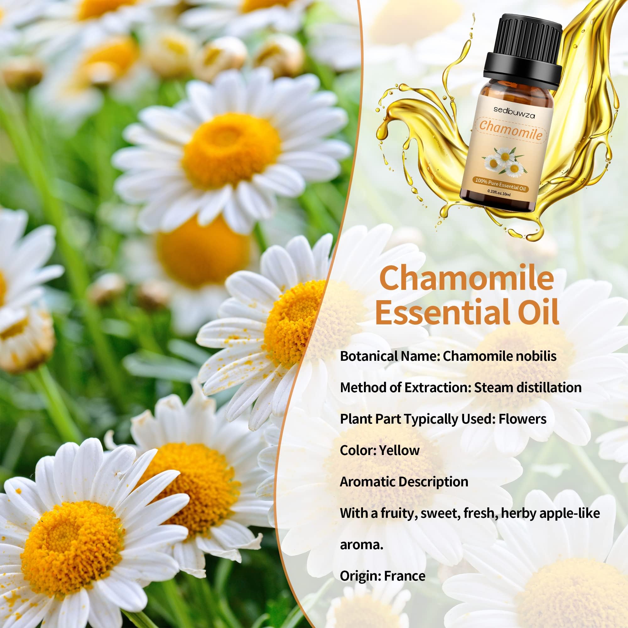 2Pcs Peppermint Oils Aromatherapy Gift Peppermint Essential Oil Set, 100% Pure & Natural Peppermint Essential Oil for Aromatherapy - 10ML