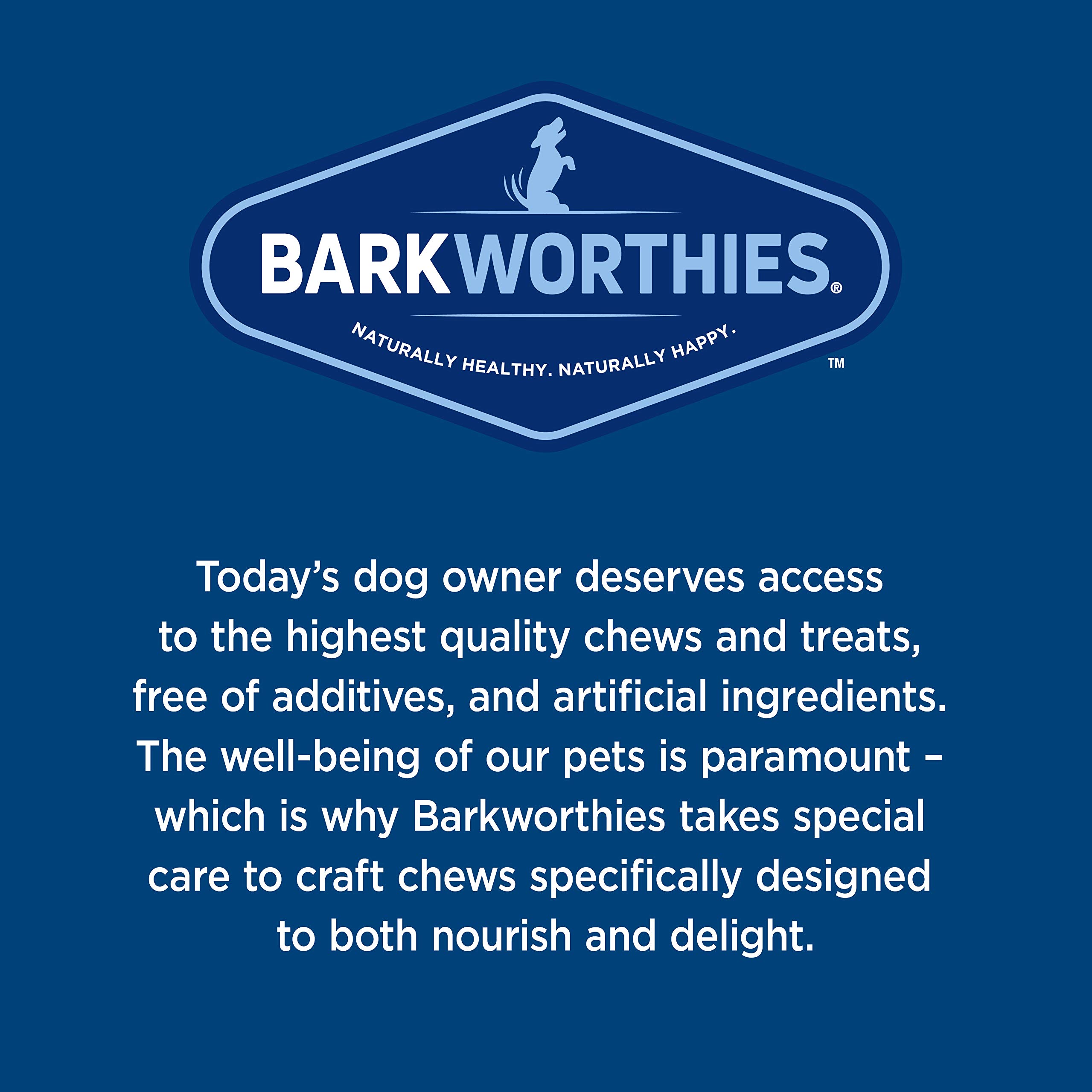 Barkworthies All-Natural Medium Himalayan Yak Cheese Dog Chews (4 Pack) - Durable and Long-Lasting Gourmet Dental Health Chew for Dogs