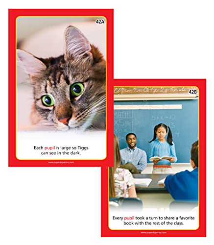 Super Duper Publications | Photo Multiple Meanings Super Fun Deck | Expand Vocabulary and Learn Definitions of English Words