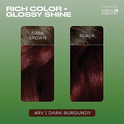 Clairol Natural Instincts Demi-Permanent Hair Dye, 4RV Dark Burgundy Hair Color, Pack of 1