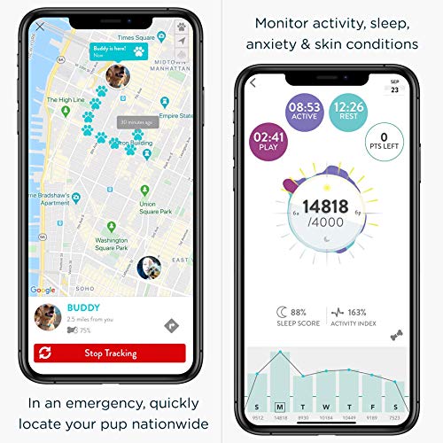 FitBark GPS Dog Tracker 1st Gen (2019) Previous Generation